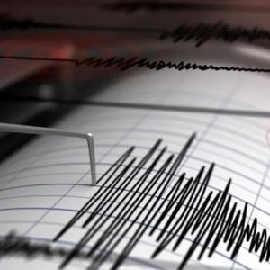 Nicolae Noica: Problema protectiei la cutremur e o chestiune de ...